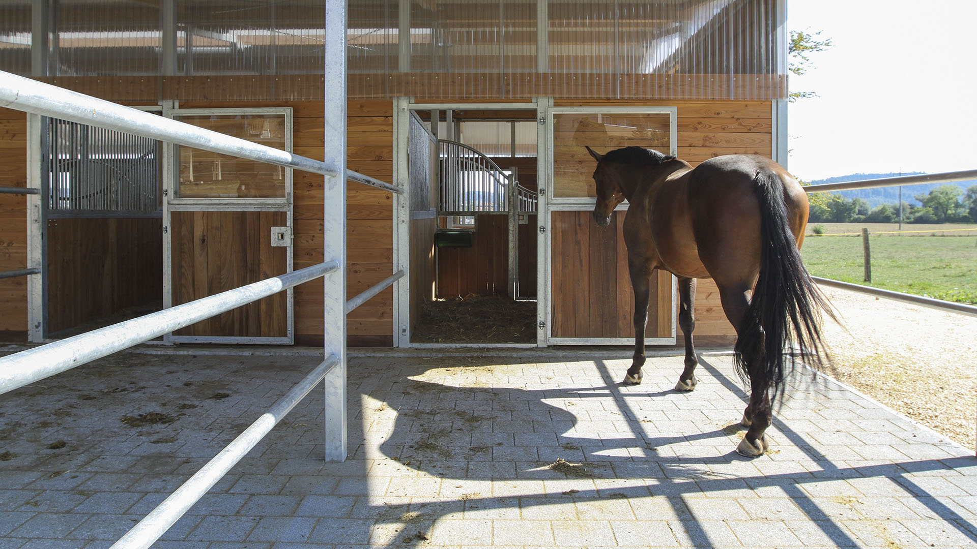 Bildergalerie Stall Offenstallanlage Mit Paddock – KHLJE